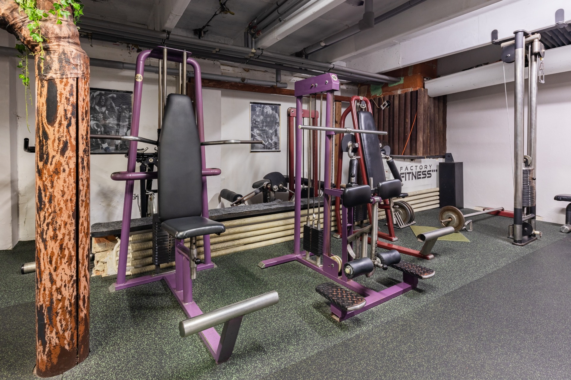 Fotogalerie :: Factory-fitness